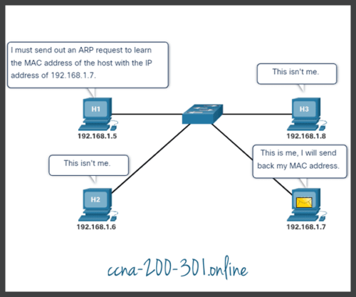 ARP » CCNA 200-301