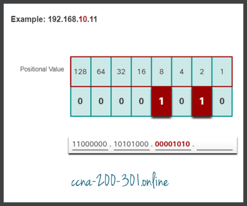 Binary Number System » CCNA 200-301