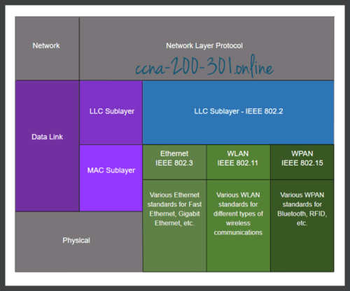 Ethernet Frame » CCNA 200-301