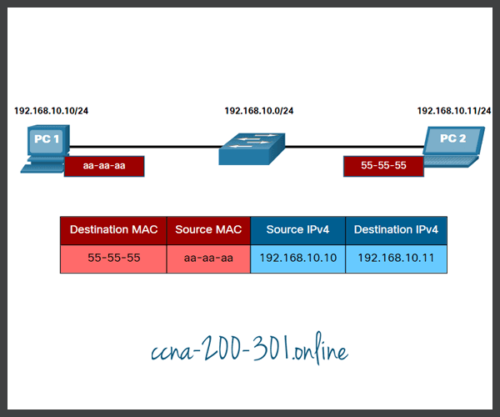 MAC and IP » CCNA 200-301
