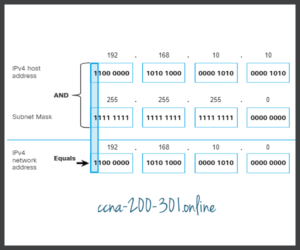 IPv4 Address Structure » CCNA 200-301