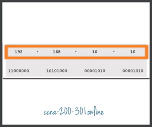 Binary Number System » CCNA 200-301
