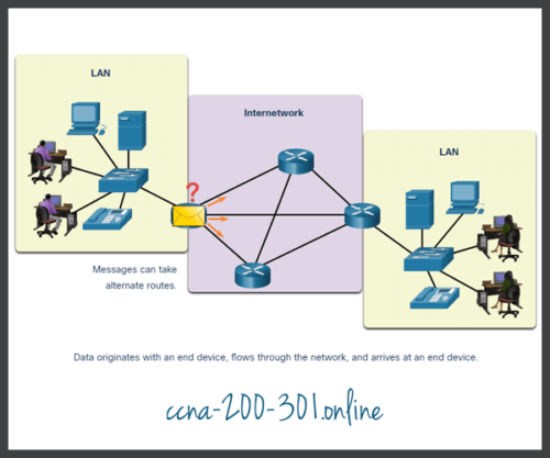 Network Components » CCNA 200-301