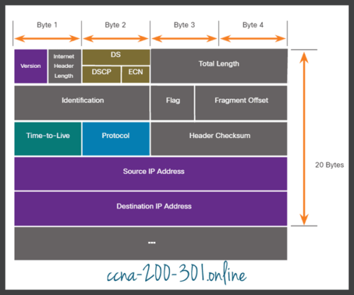 IPv4 Packet » CCNA 200-301