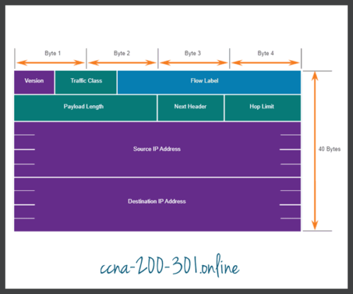 IPv6 Packet » CCNA 200-301