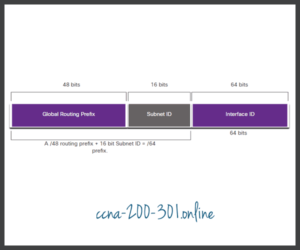 IPv6 Address Types » CCNA 200-301