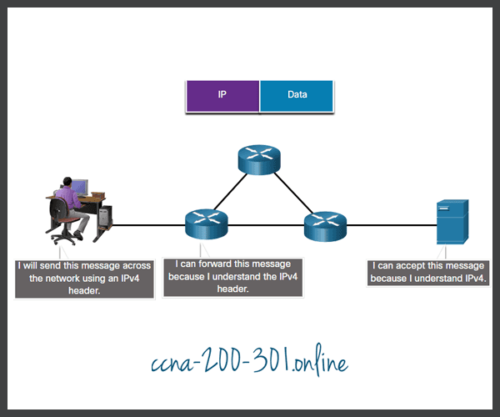 Protocols » CCNA 200-301