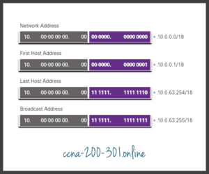 Subnet a /16 and a /8 Prefix » CCNA 200-301