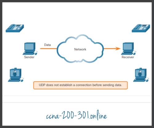 UDP Communication » CCNA 200-301