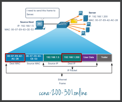 Ethernet MAC Address » CCNA 200-301