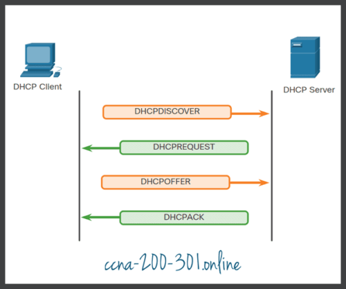 IP Addressing Services » CCNA 200-301