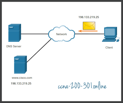 IP Addressing Services » CCNA 200-301
