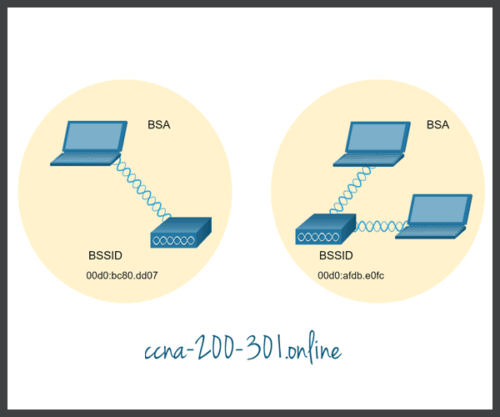 WLAN Operation » CCNA 200-301