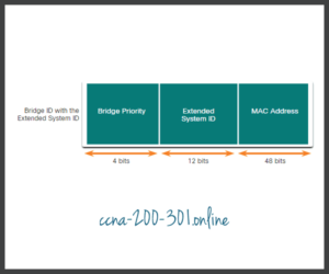 STP Operations » CCNA 200-301