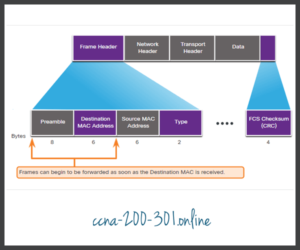 Frame Forwarding » CCNA 200-301