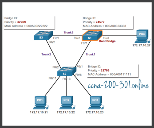STP Operations » CCNA 200-301