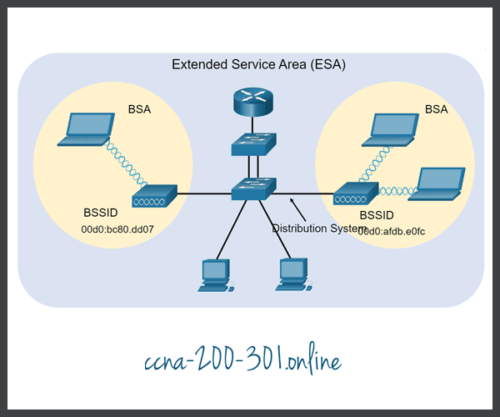 WLAN Operation » CCNA 200-301