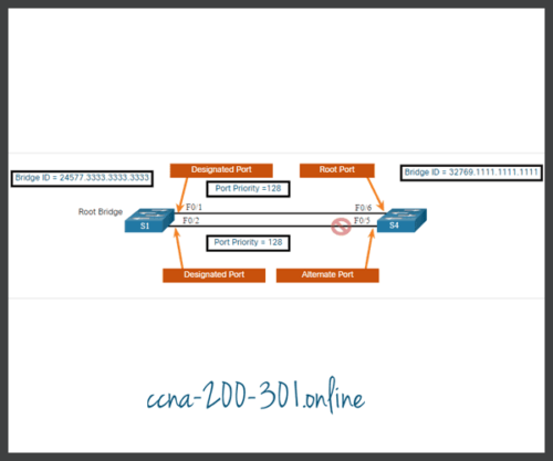 STP Operations » CCNA 200-301