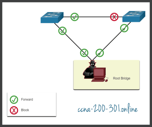 LAN Attacks » CCNA 200-301