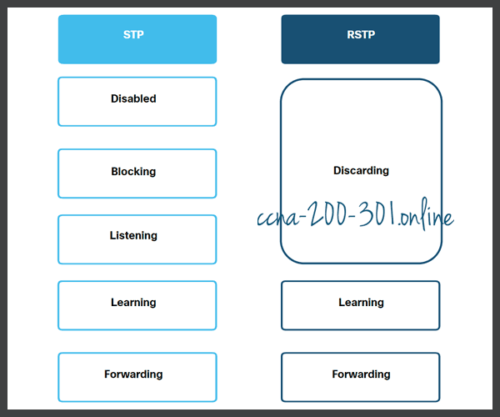 Evolution of STP » CCNA 200-301