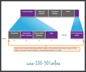 Frame Forwarding » CCNA 200-301