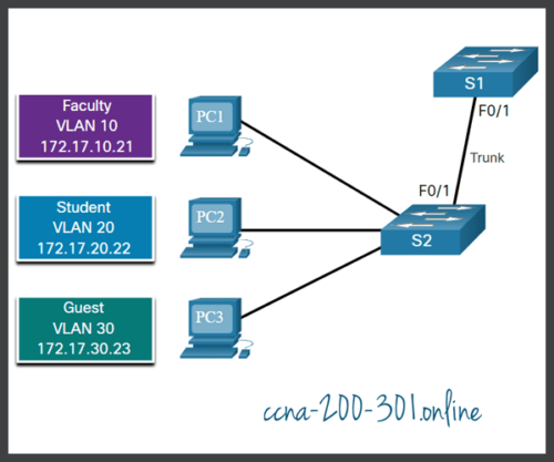 VLAN Trunks » CCNA 200-301