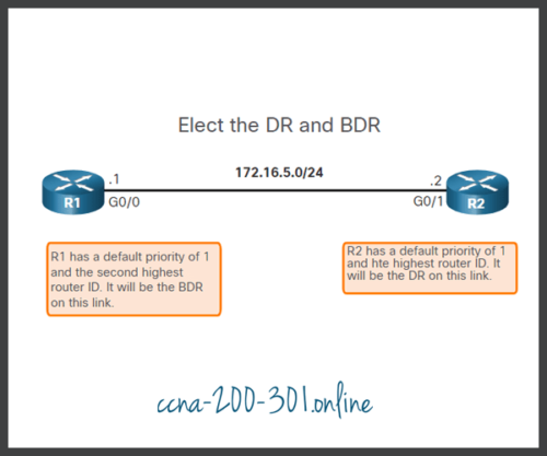 OSPF Operation » CCNA 200-301
