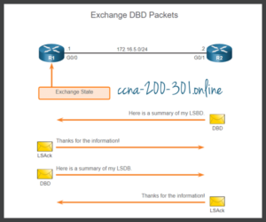 OSPF Operation » CCNA 200-301