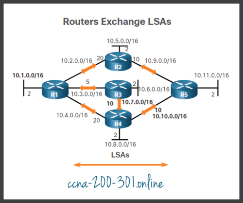 OSPF Features and Characteristics » CCNA 200-301
