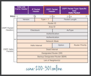 OSPF Packets » CCNA 200-301