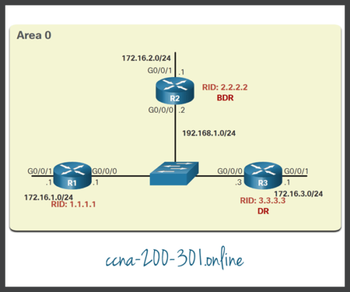 Multiaccess OSPF Networks » CCNA 200-301