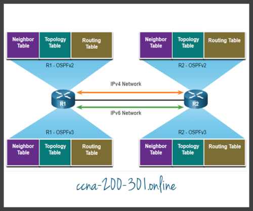 OSPF Features and Characteristics » CCNA 200-301