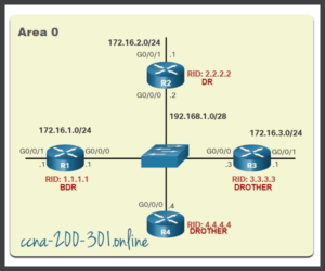 Multiaccess OSPF Networks » CCNA 200-301