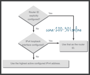 OSPF Router ID » CCNA 200-301