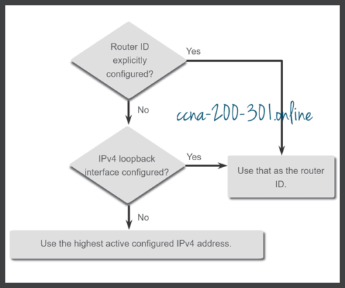 OSPF Router ID » CCNA 200-301