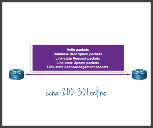 OSPF Features and Characteristics » CCNA 200-301