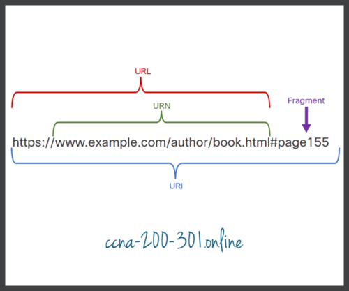 REST » CCNA 200-301