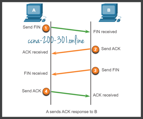 TCP and UDP Vulnerabilities » CCNA 200-301
